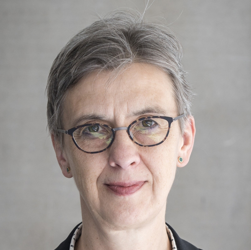 Katharina Pistor | Saldonar